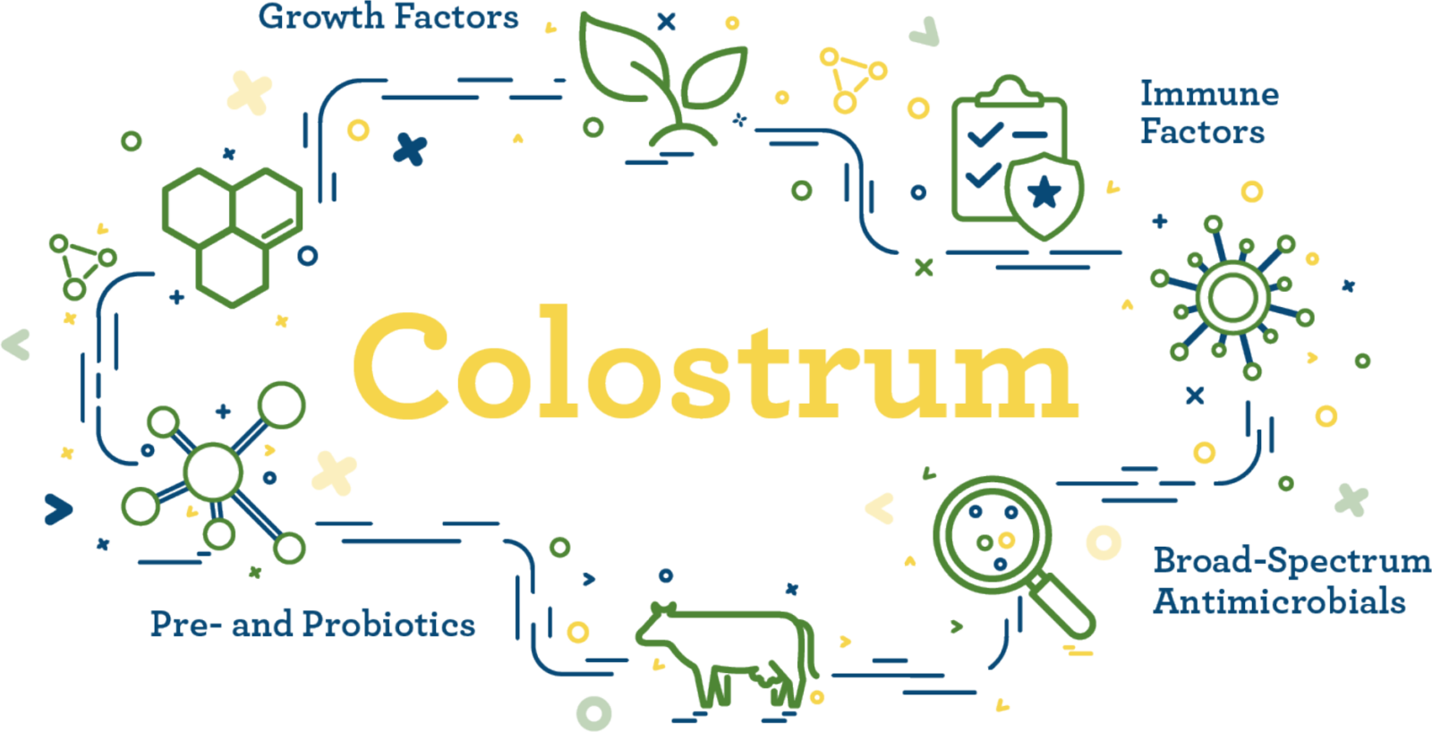 Home - Colostrum101